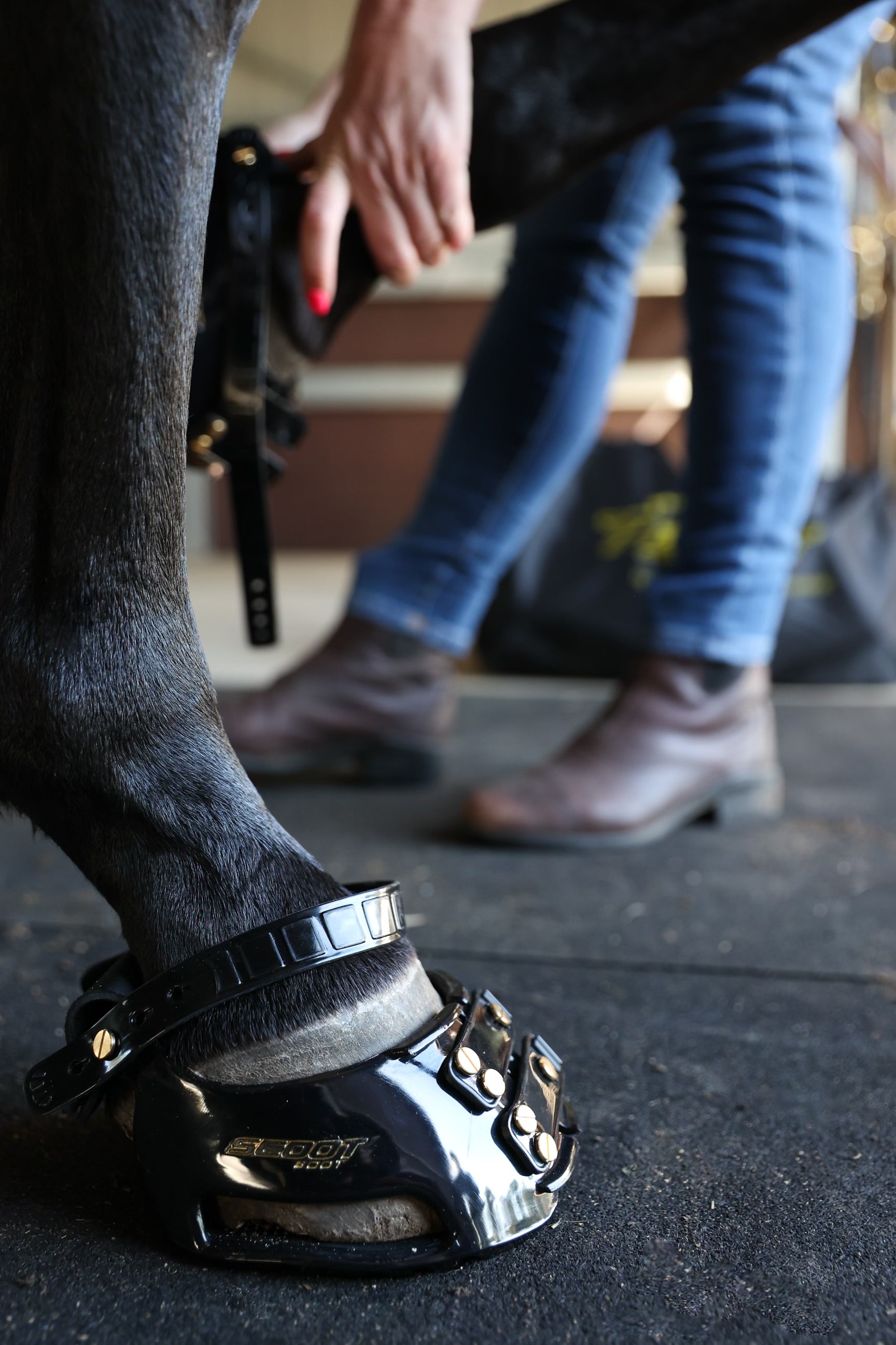 Scoot Boot Pair with Included Remote Fitting – collectiveequinetherapies