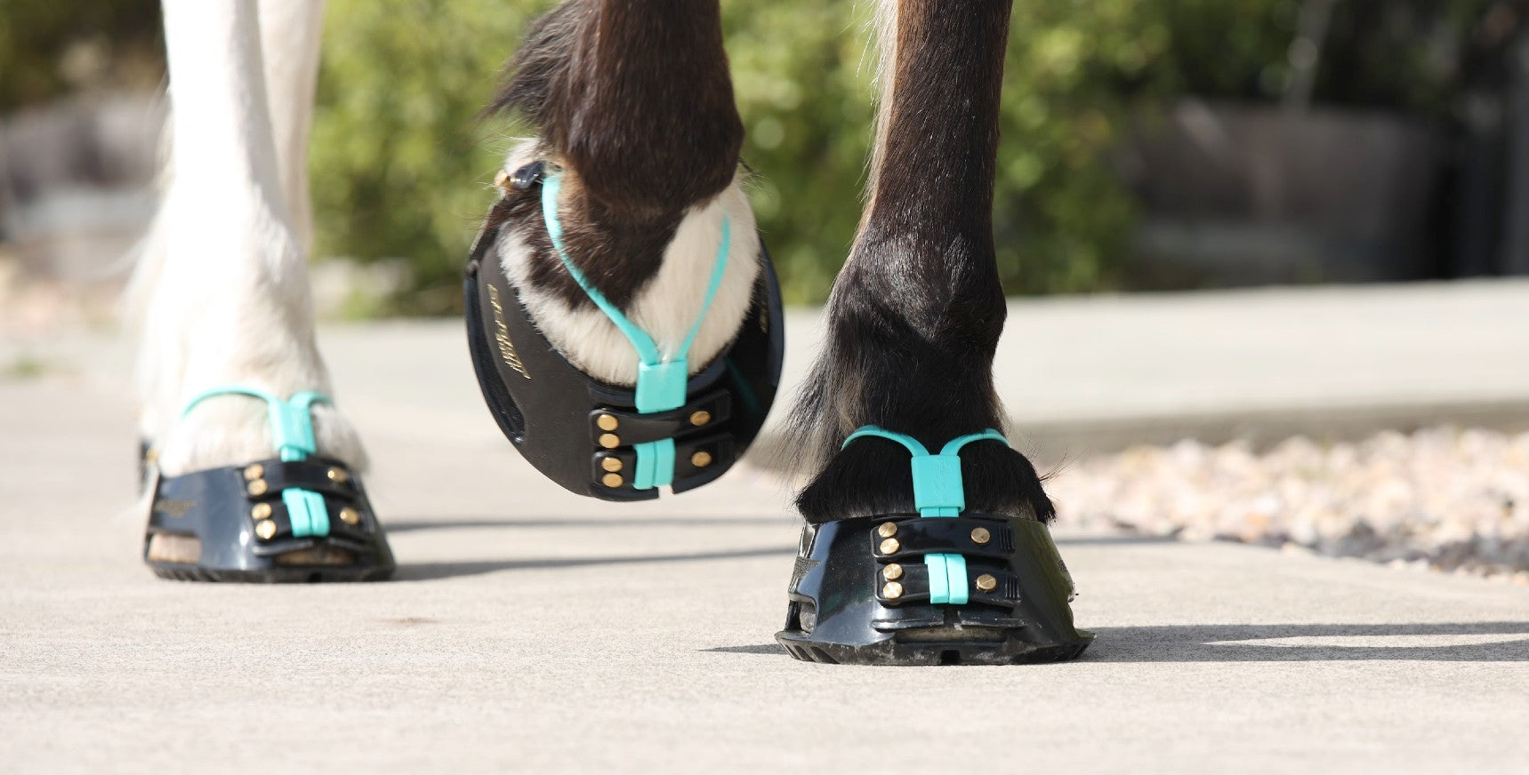 Mud Straps – collectiveequinetherapies